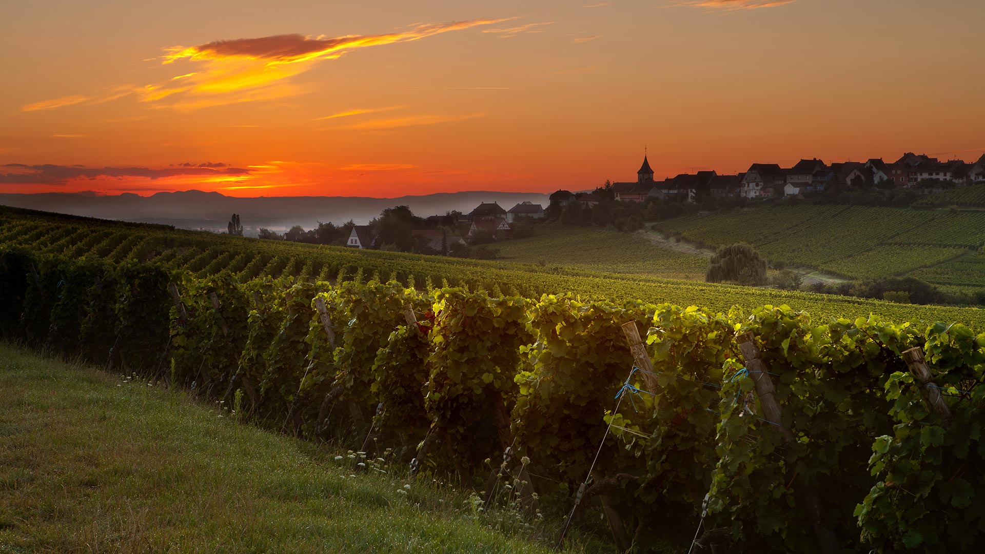 Circuit : La route des vins d’Alsace en 6 jours - Michelin